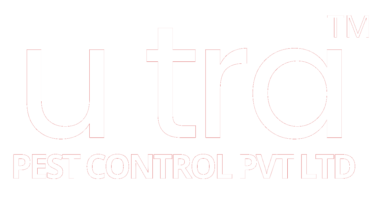 Pest Control Services in Mumbai | Ultra Pest Control
