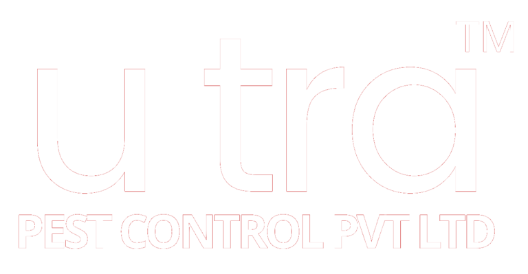 Pest Control Services in Mumbai | Ultra Pest Control